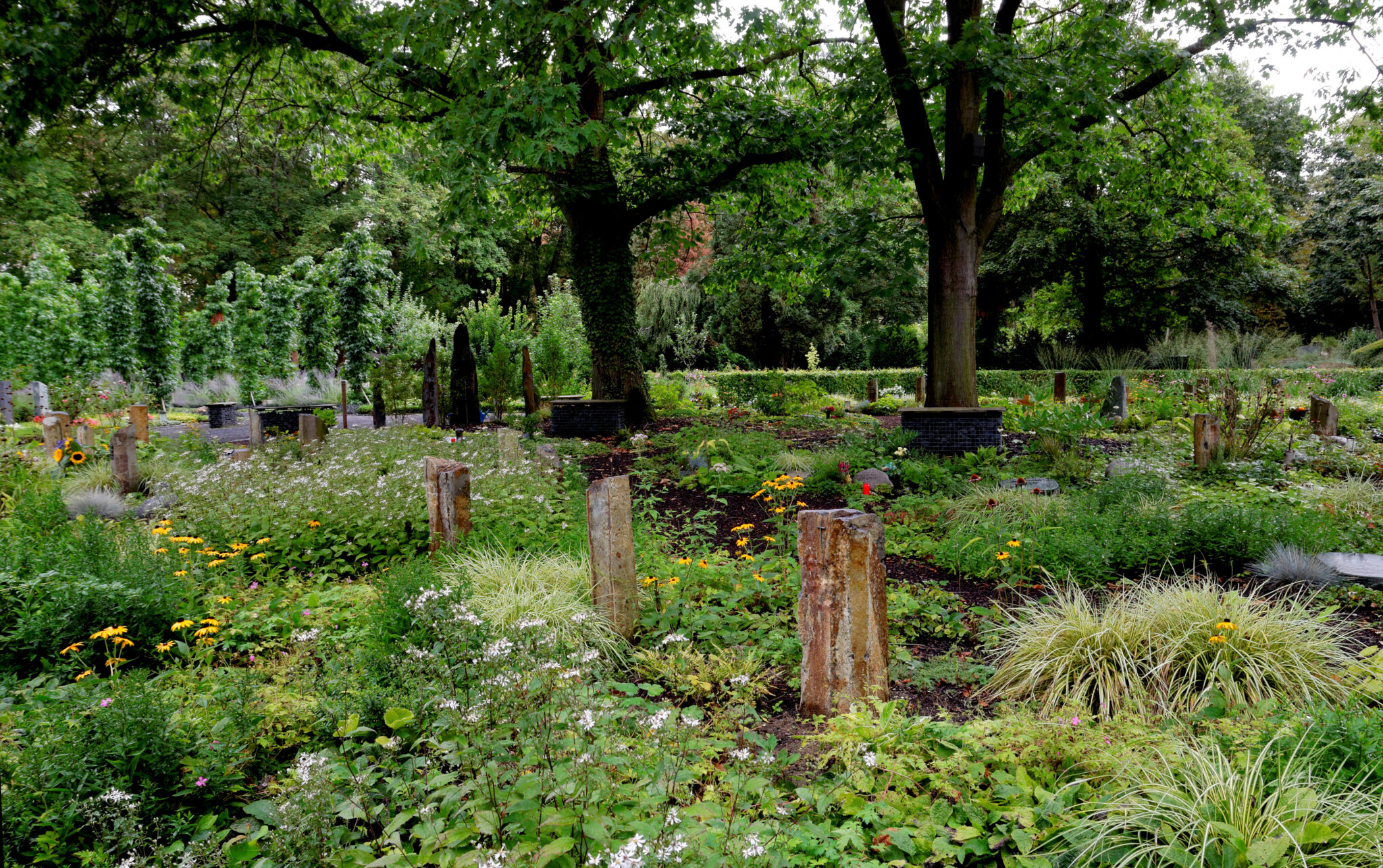 What to Know About Natural Burials | Wujek-Calcaterra & Sons